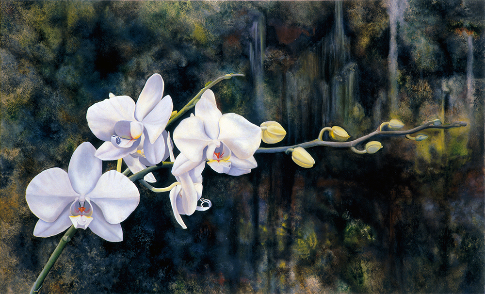 Orchids An Original Oil Painting by Matthew Bates